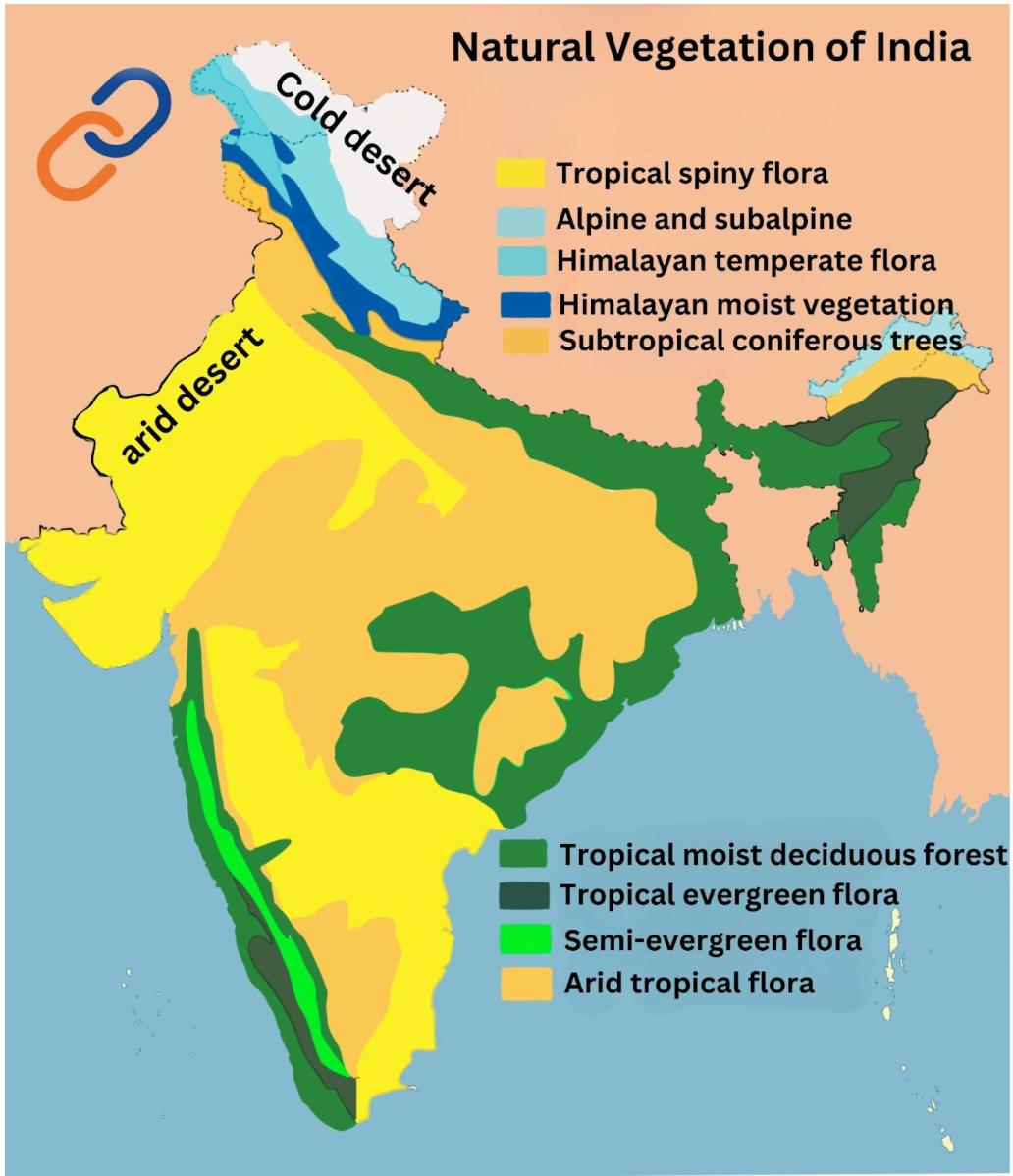Natural Vegetation - Connect Civils