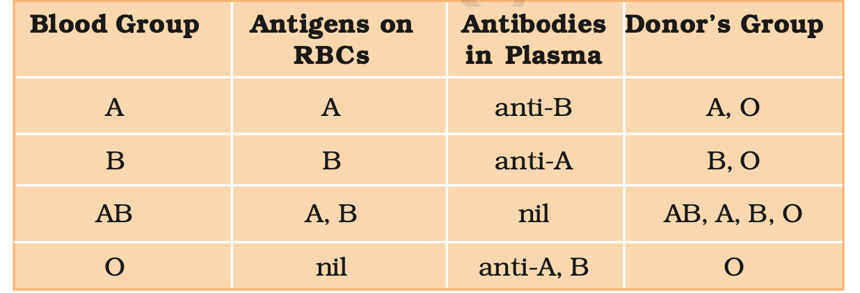 Blood groups, Composition and Functions of blood - Connect Civils